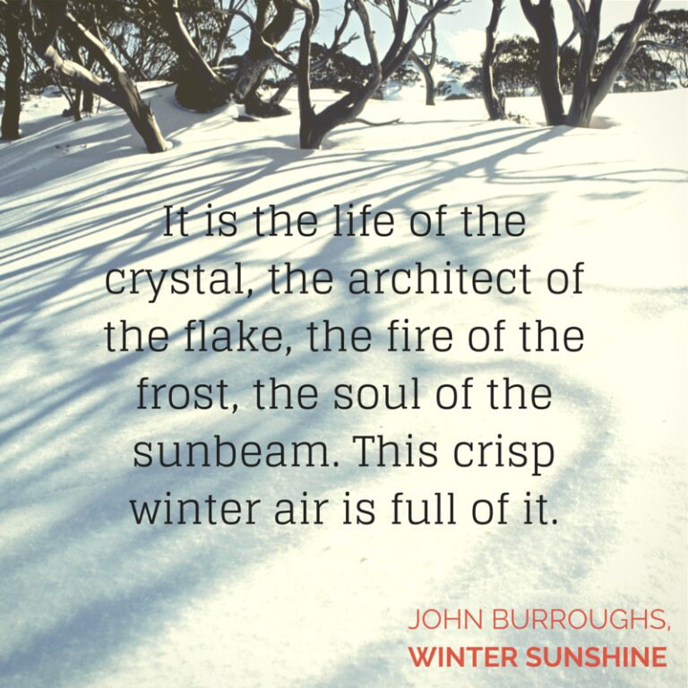 25 Winter Solstice Quotes To Celebrate The Astronomical Phenomenon